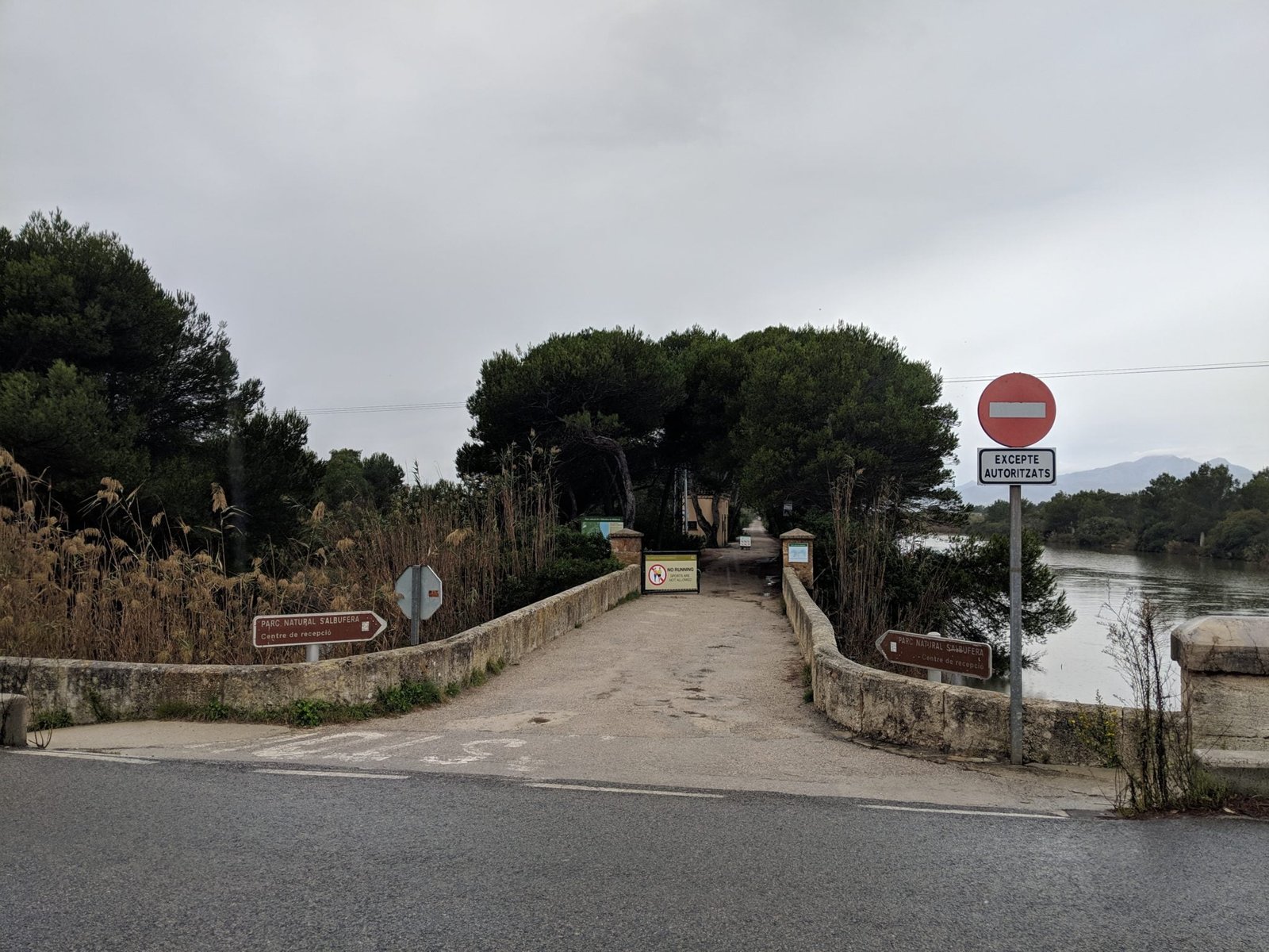 Albufera Mallorca: Guía de Aves y Naturaleza