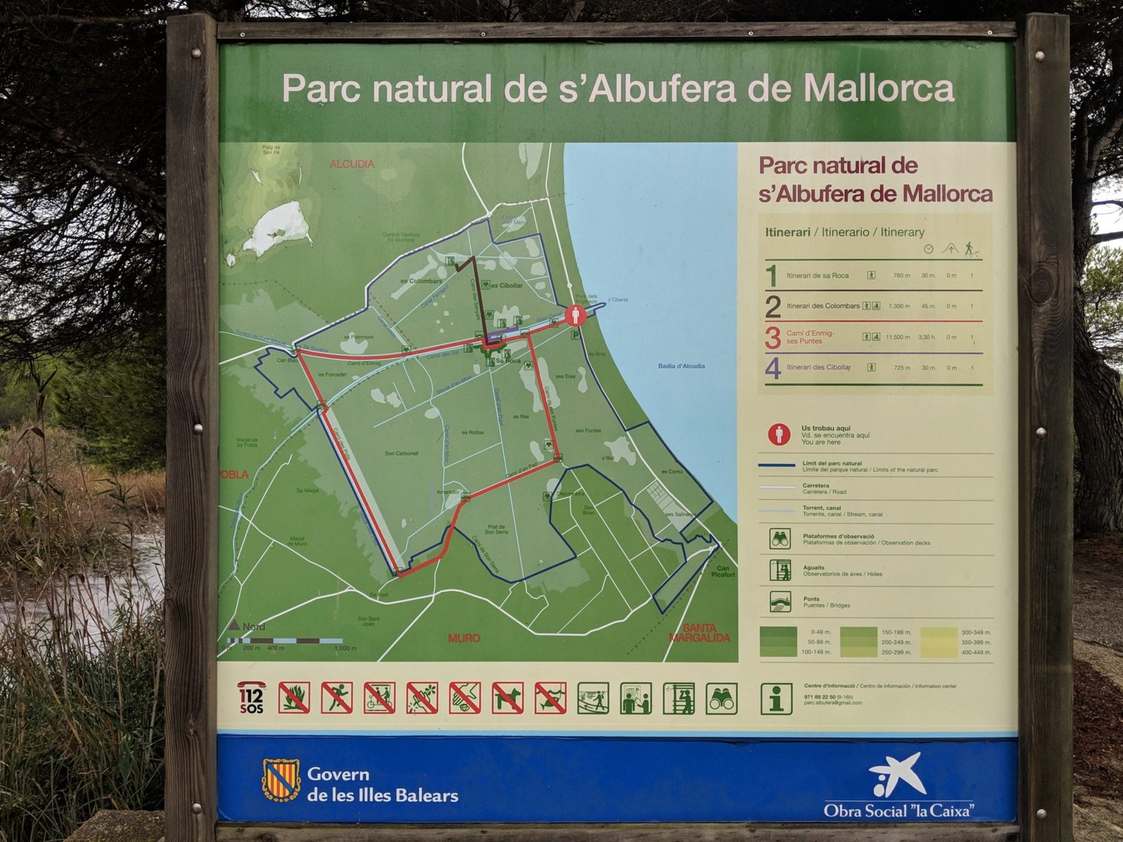 Albufera Mallorca: Guía de Aves y Naturaleza